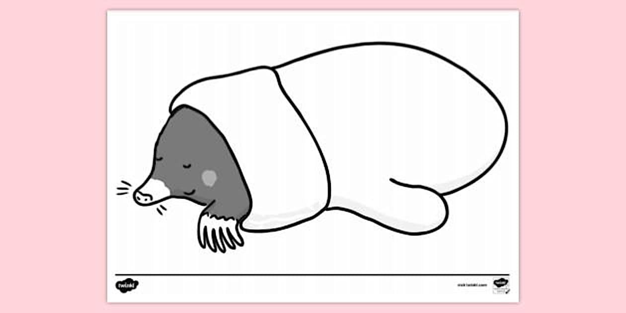 Mole in the Mitten Colouring Sheet | Colouring Sheets