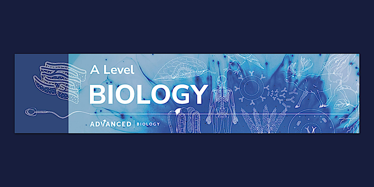 A Level Biology Banner (Teacher-Made) - Twinkl