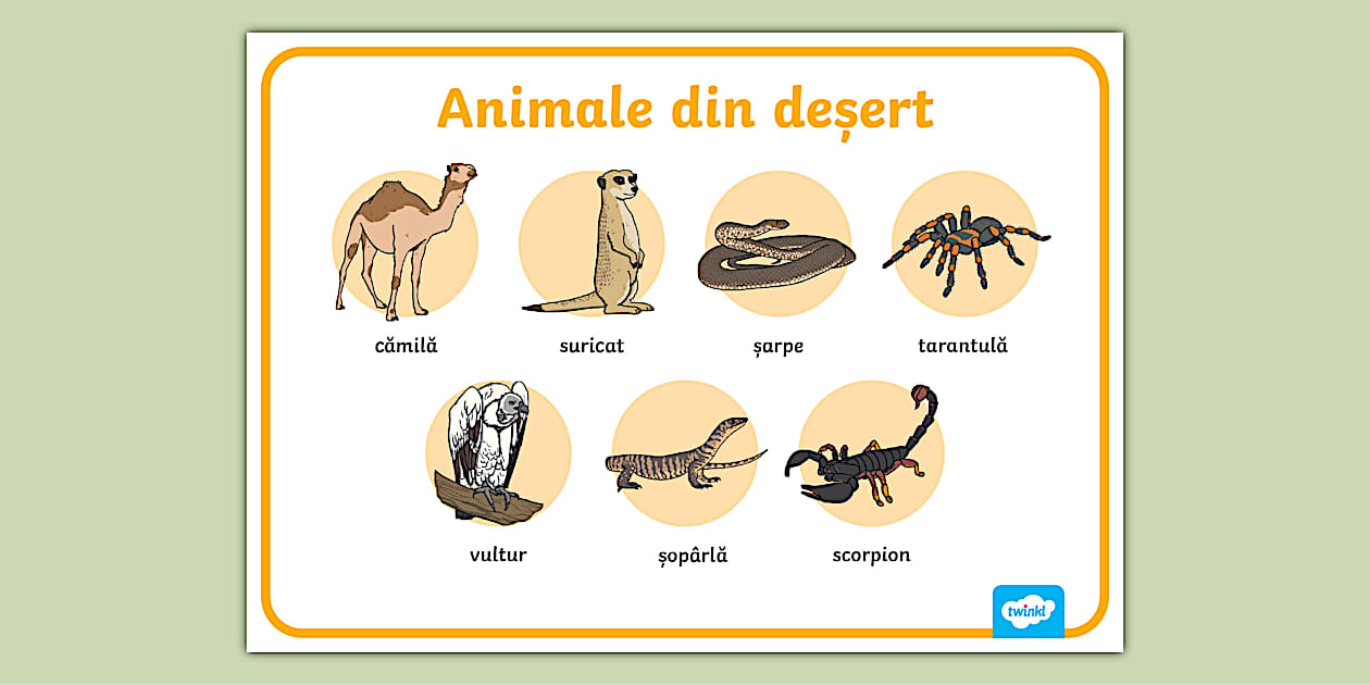 Animale din deșert – Planșă cu vocabular (teacher made)