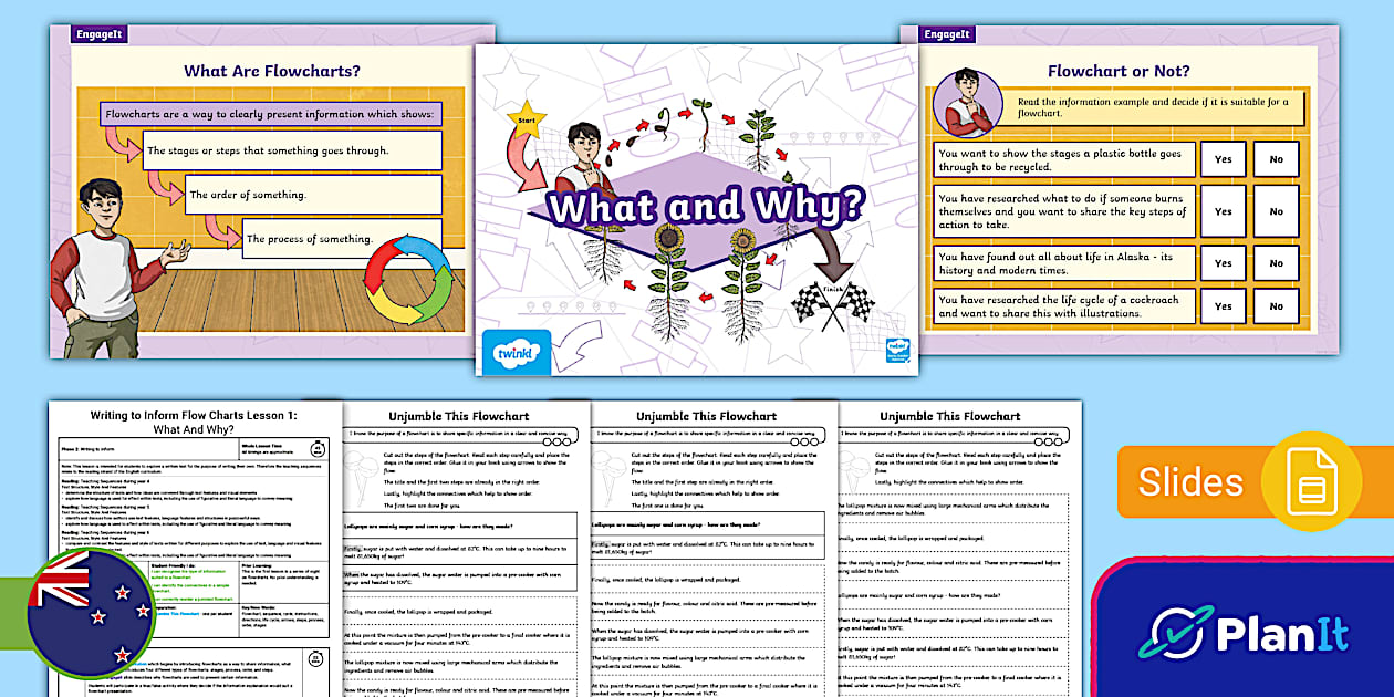Writing to Inform Flowcharts Lesson 1: What and Why?