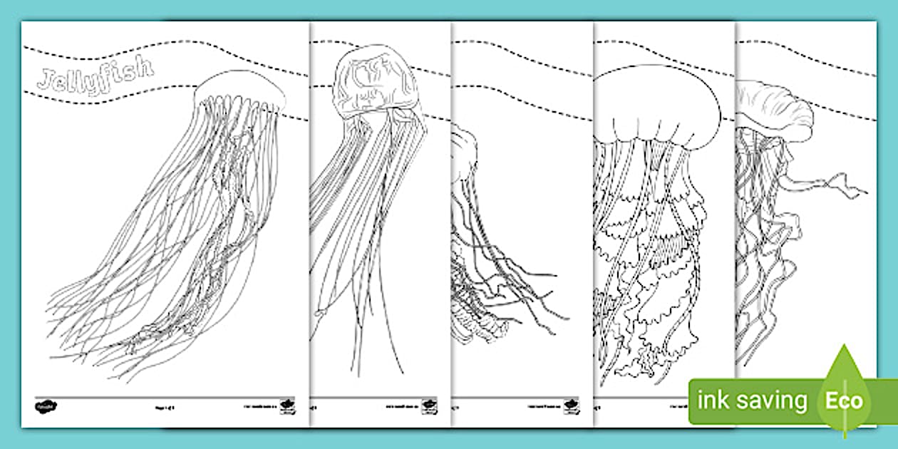 Jellyfish Colouring Sheets (teacher made) - Twinkl