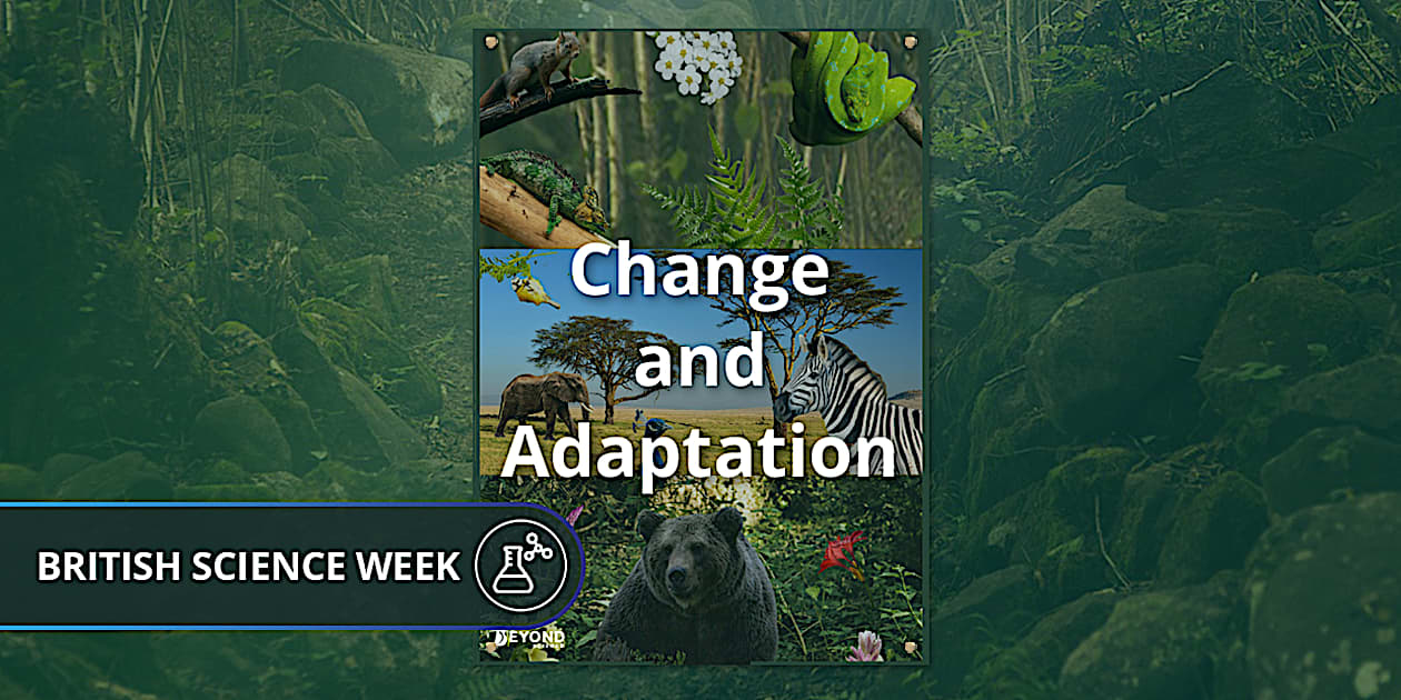 British Science Week Poster | Beyond Science | Twinkl