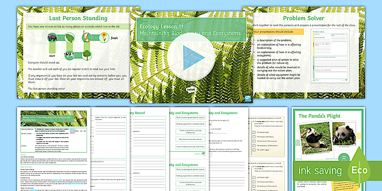 Maintaining Biodiversity and Ecosystems Lesson Plan - Twinkl