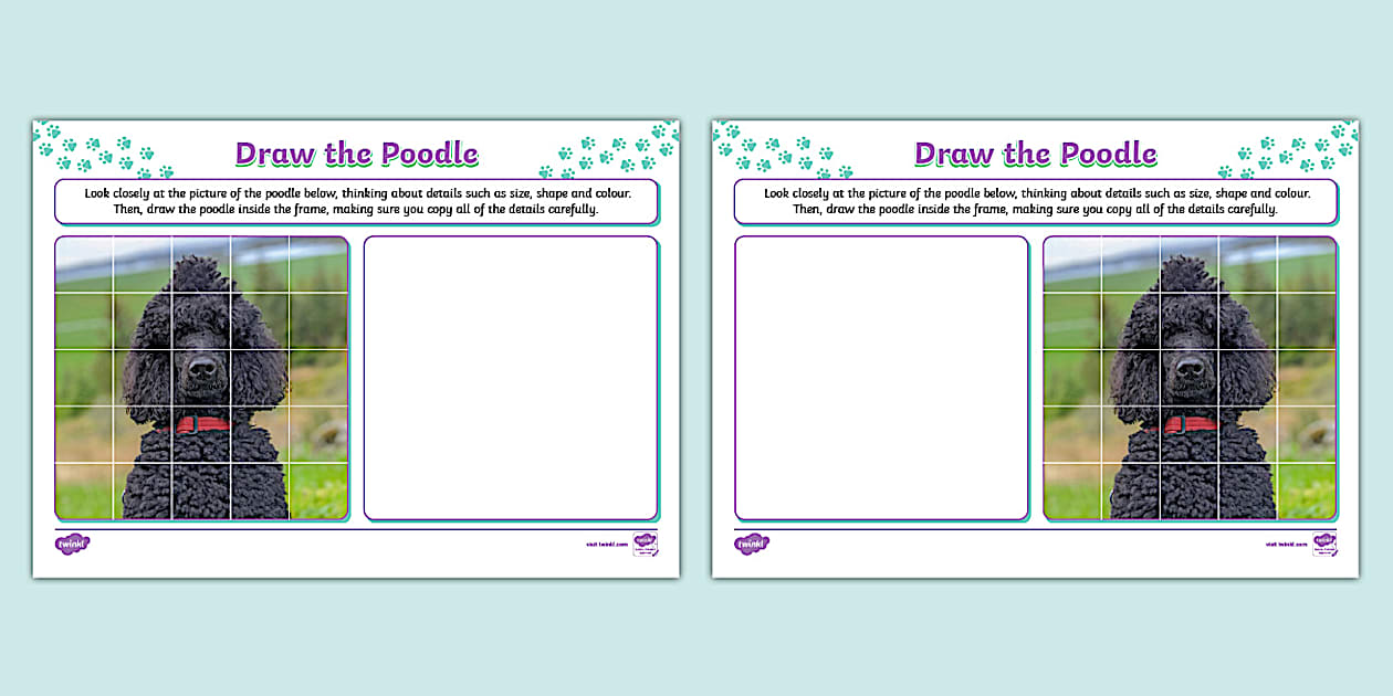 Draw the Poodle Worksheet (teacher made) - Twinkl