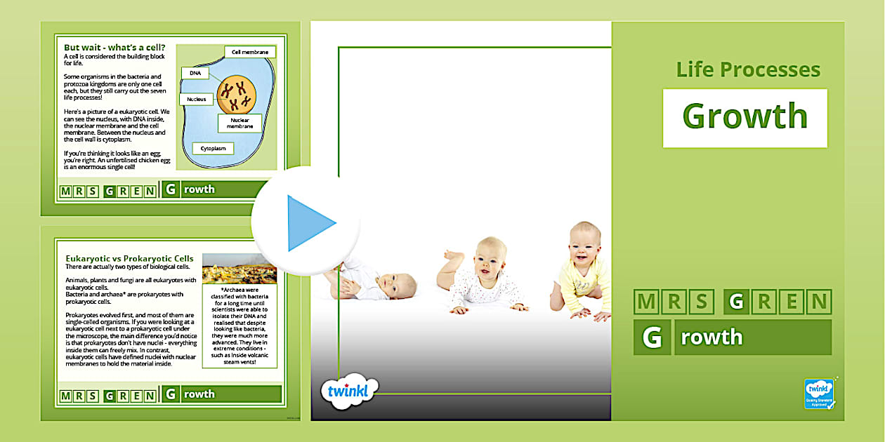 Level 3-4 Life Processes Slideshow - Growth - Twinkl