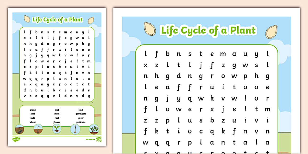 Life Cycle of a Plant Word Search - KS1 - Twinkl
