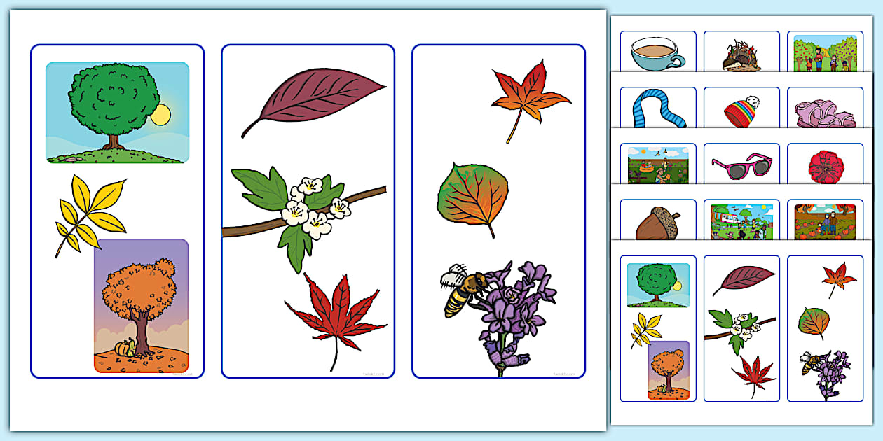 Autumn Cards - What Doesn't Belong (Teacher-Made) - Twinkl