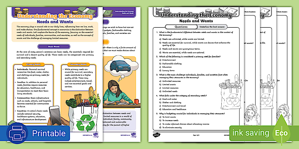 EMS Grade 7 Needs and Wants | Understanding the Economy