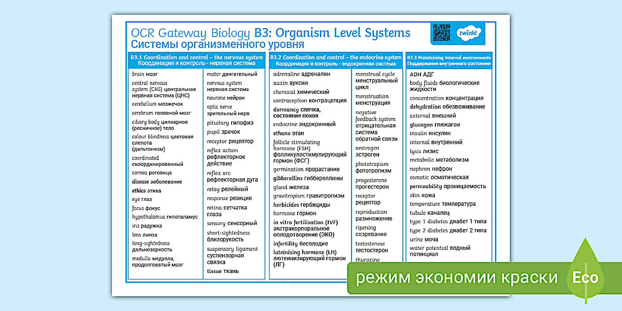 Biology Topic B3 Organism Level Word Mat with Russian translation