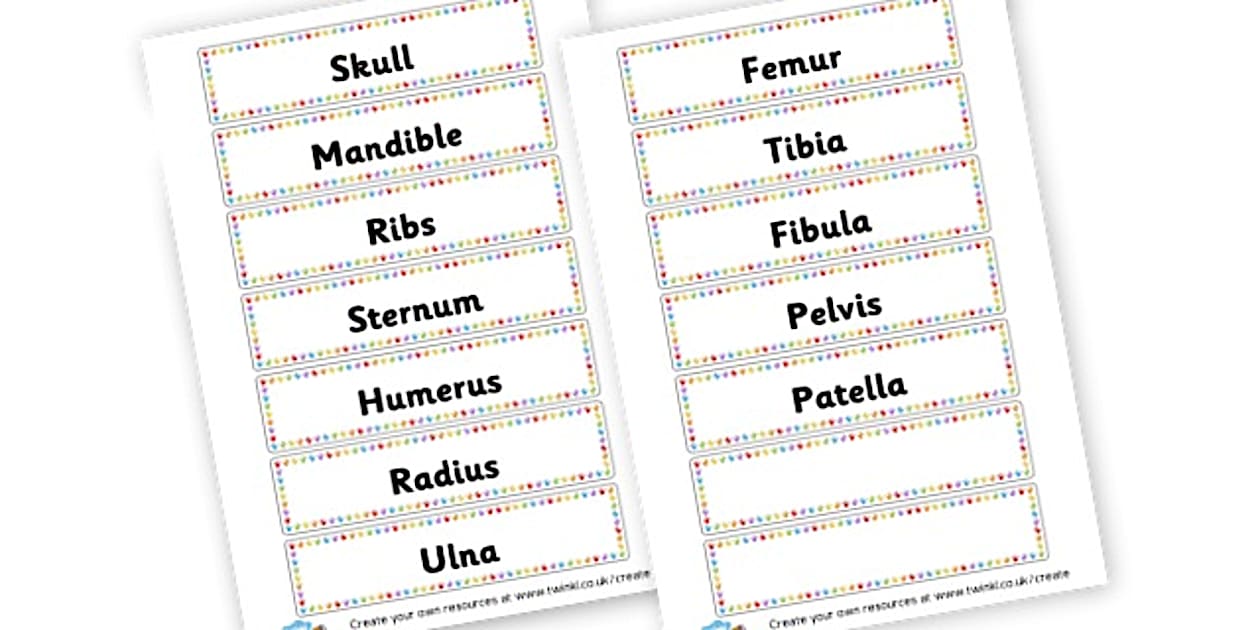 Bones (Teacher-Made) - Twinkl