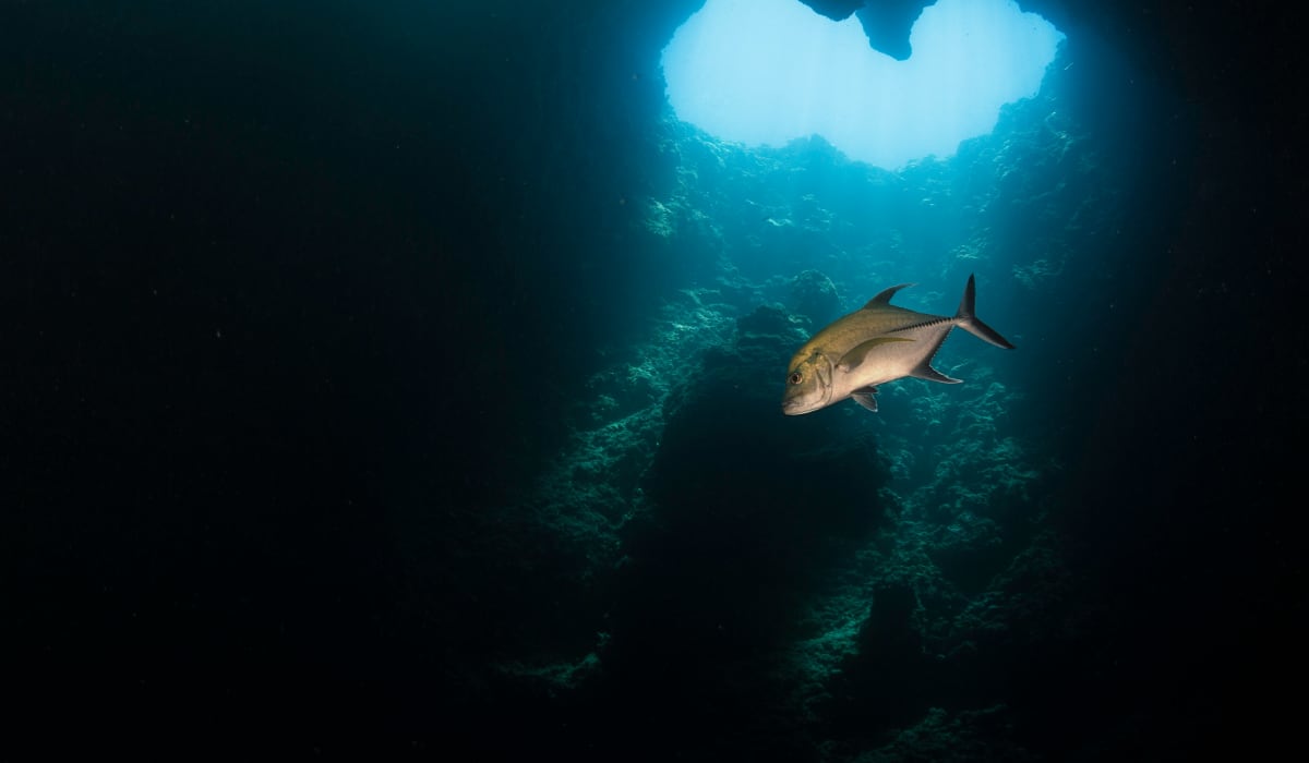 Bottom of World’s Deepest Ocean Hole Is Yet to Found - Twinkl NewsRoom