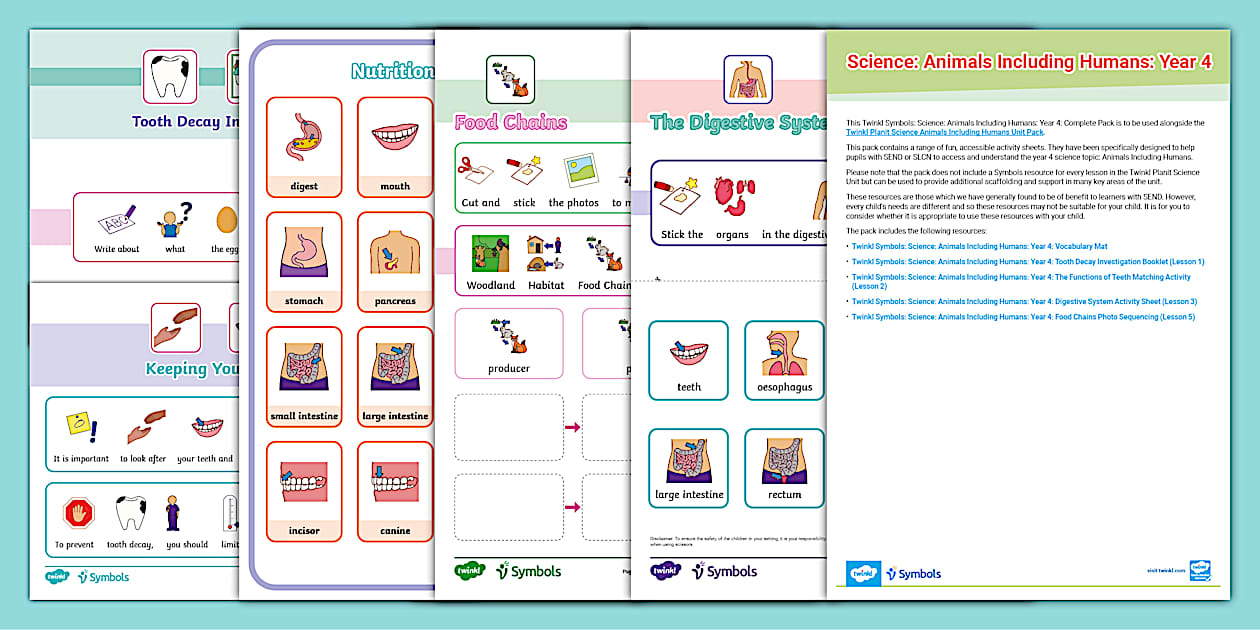 Twinkl Symbols: Science: Animals: Year 4: Complete Pack