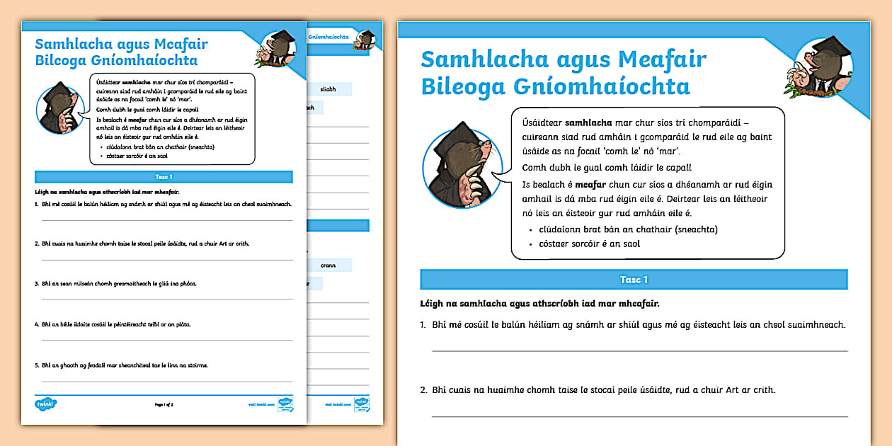 Samhlacha agus Meafair Bileoga Gníomhaíochta - Twinkl