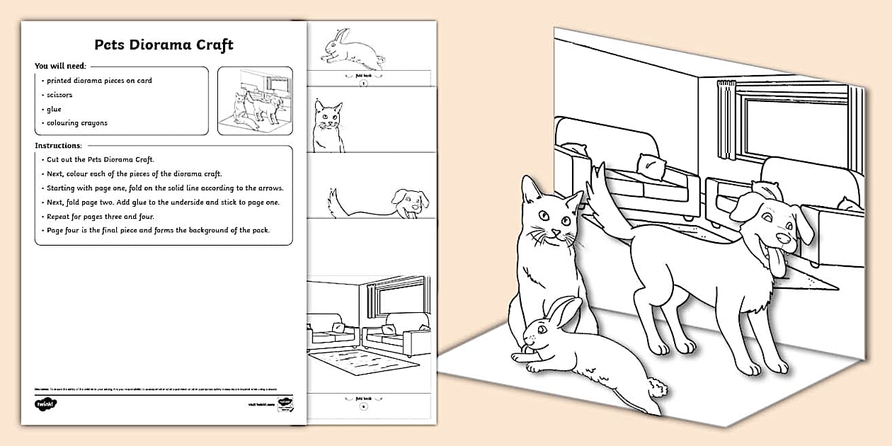 Pets Diorama Craft (teacher made) - Twinkl