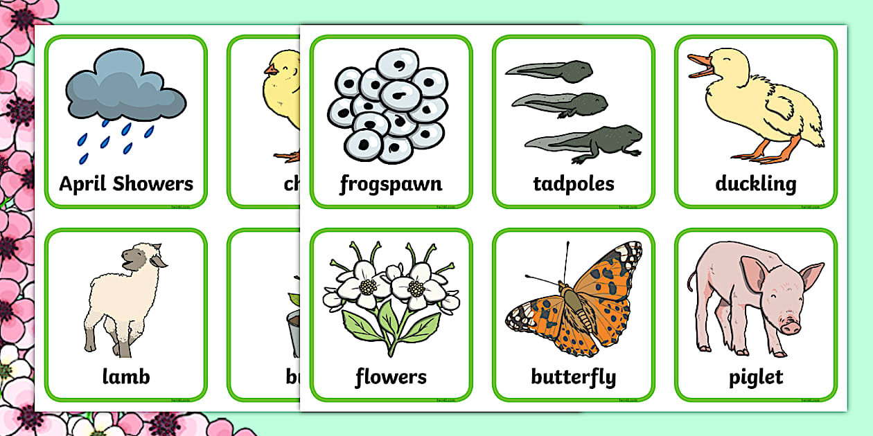 Spring Matching Game Printable for Young Learners - Twinkl