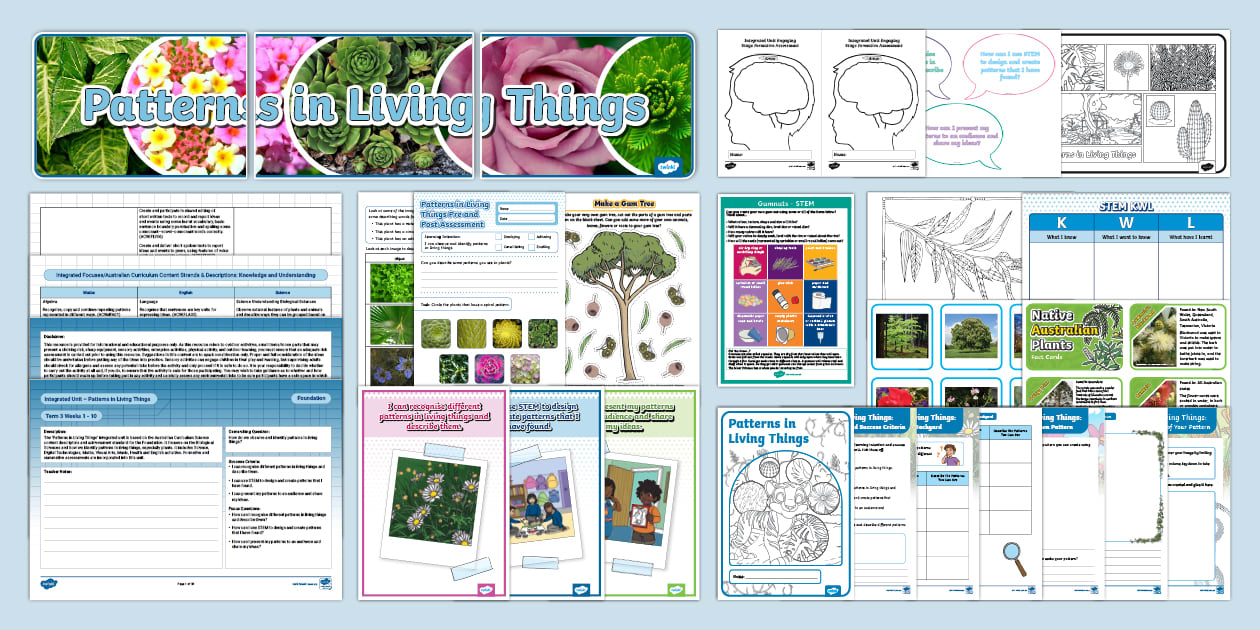 STEM IU Foundation Patterns in Living Things Wk 1-2 - Twinkl