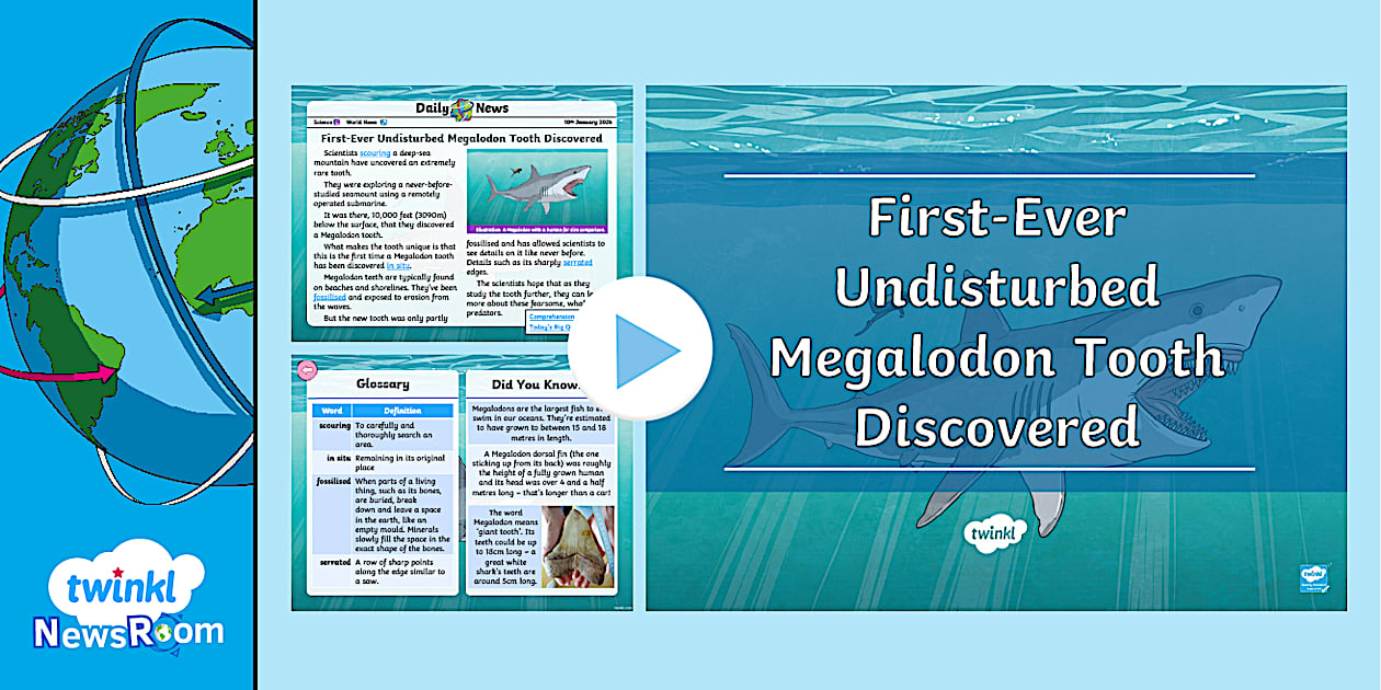Megalodon Tooth Discovered | Twinkl Resources (Teacher-Made)