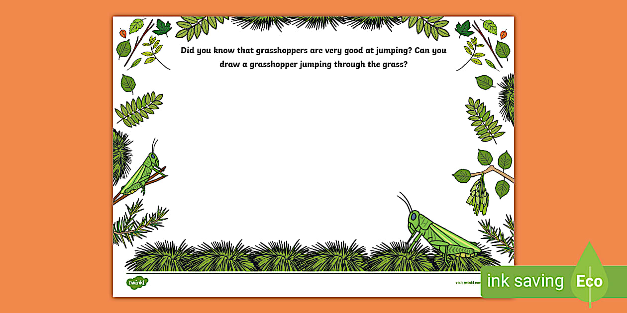 Grasshopper Drawing Prompt Sheet|Twinkl Grasshopper Drawing