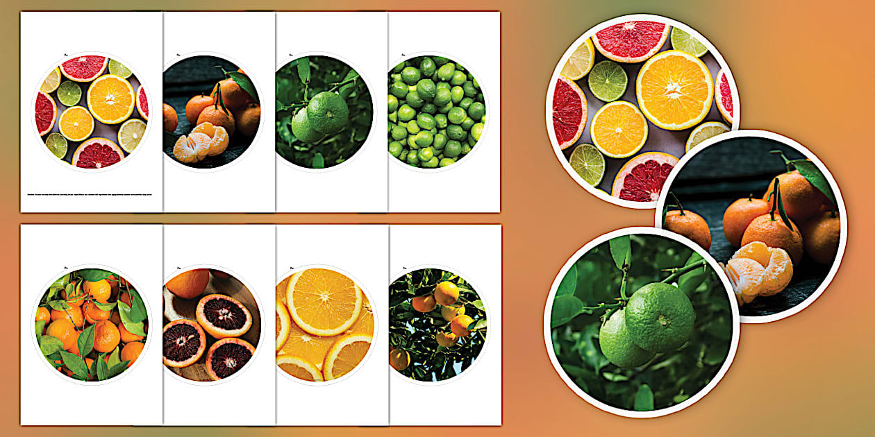 Citrus Fruits Circle Display Photo Cut-Outs (Teacher-Made)