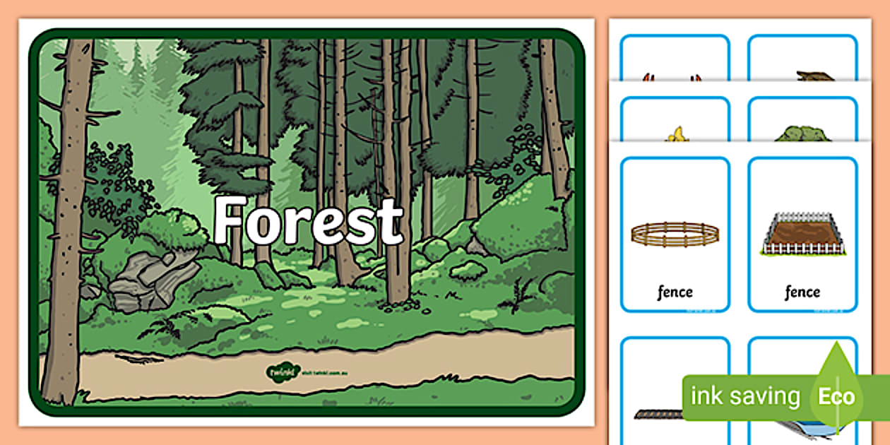 Natural, Managed and Constructed Environments Game - Twinkl