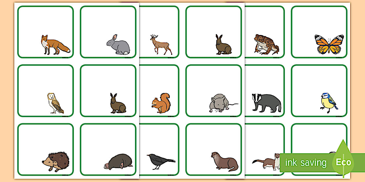 👉 Labelling Woodland Animals KS1 - Primary Resources