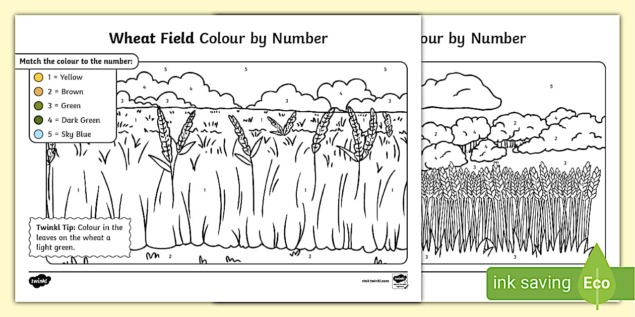 Wheat Field Colour by Number Pages | Twinkl Mathematics