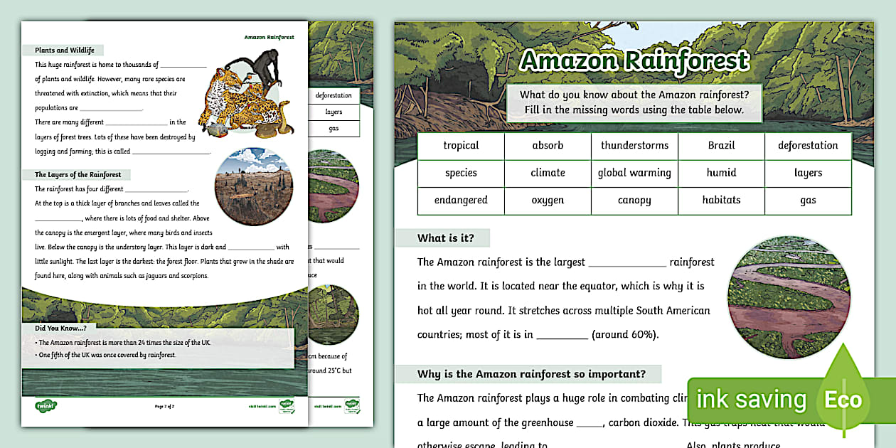 Amazon Rainforest Cloze Activity - Twinkl