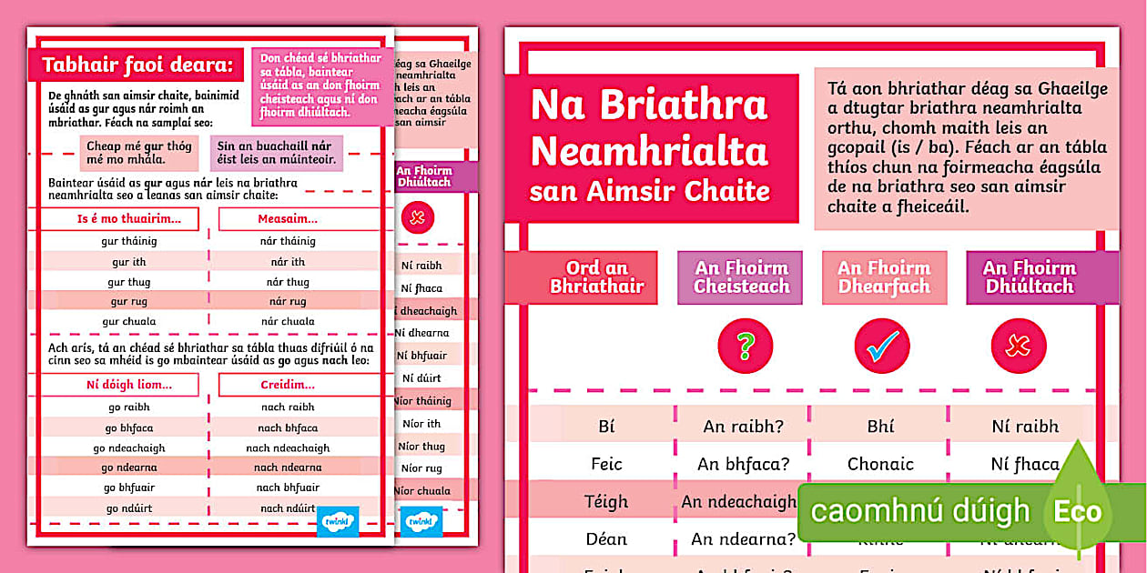 Briathra Neamhrialta san Aimsir Chaite Póstaeir | Twinkl