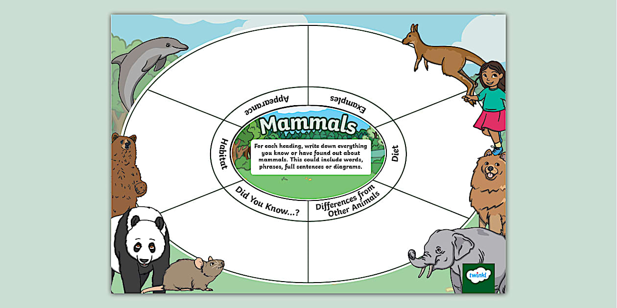 Mammals Around the Table - Twinkl Science (teacher made)