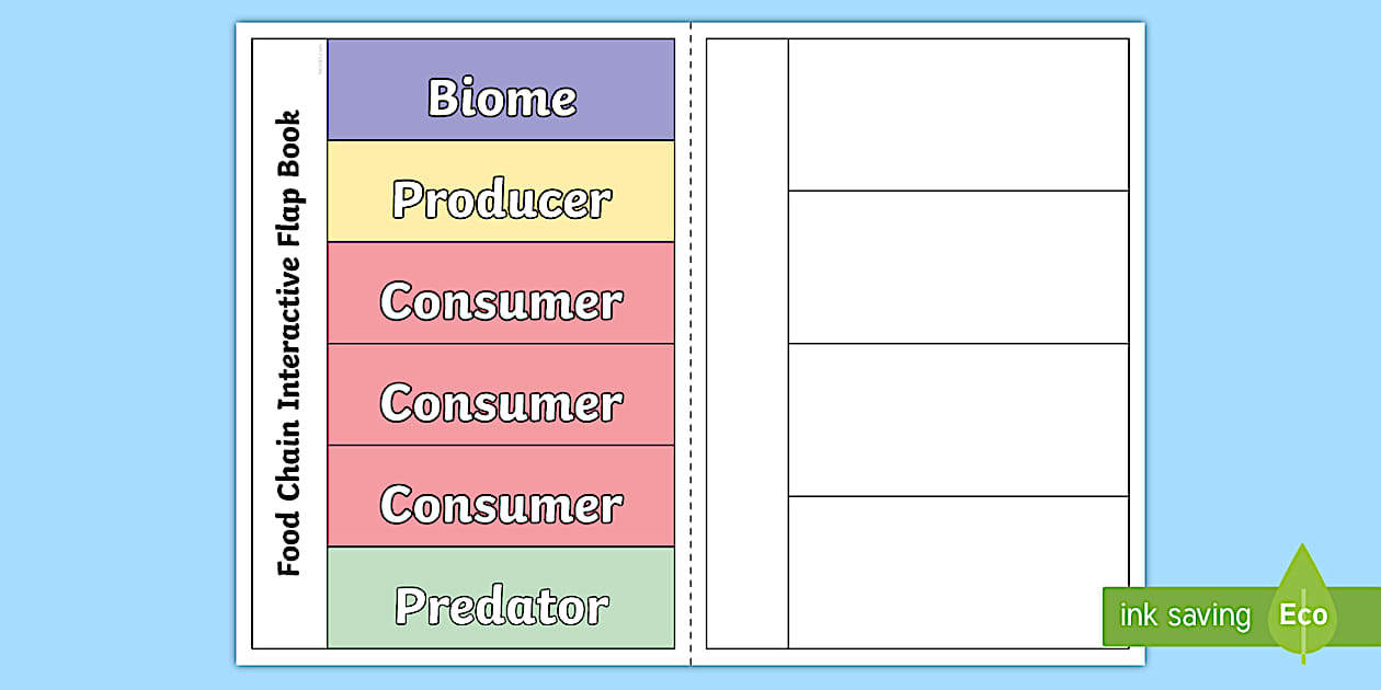 Food Chain Interactive Flap Book (teacher made) - Twinkl