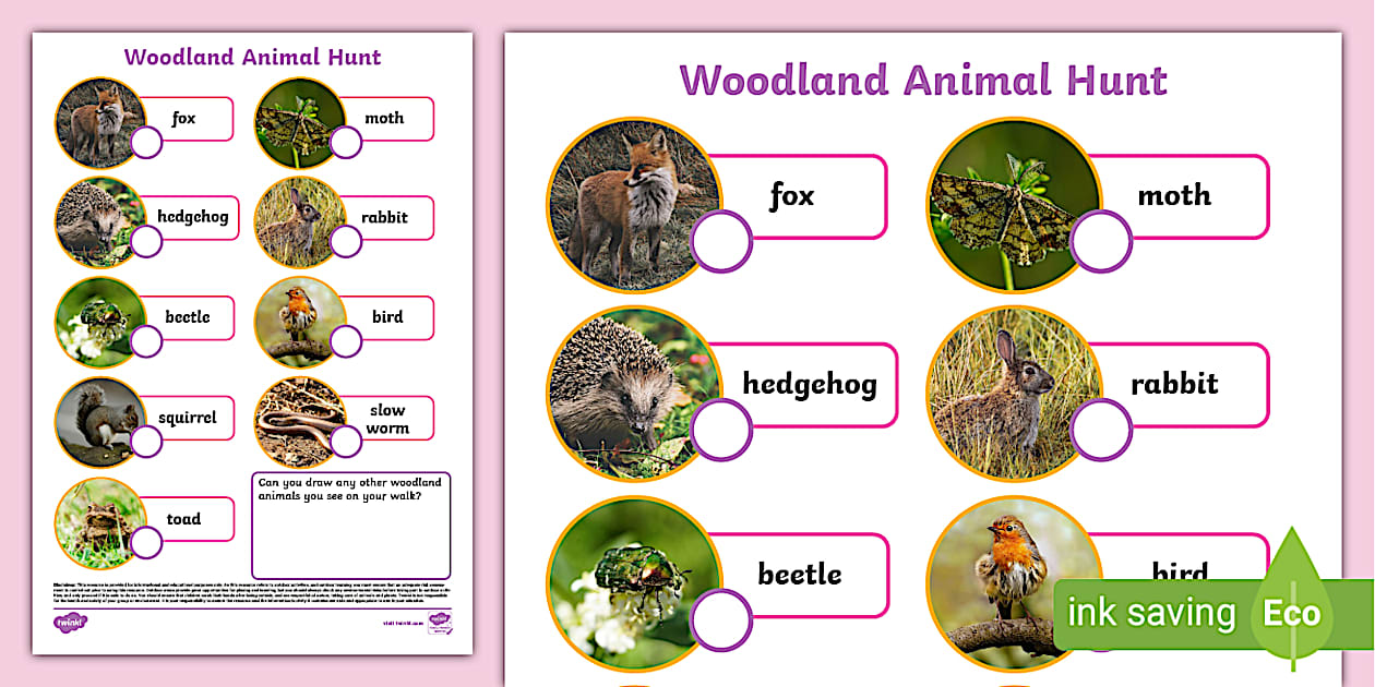Woodland Animal Hunt Photo Checklist (teacher made) - Twinkl