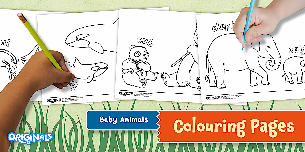 Baby Animals Picture and Word Colouring Pages