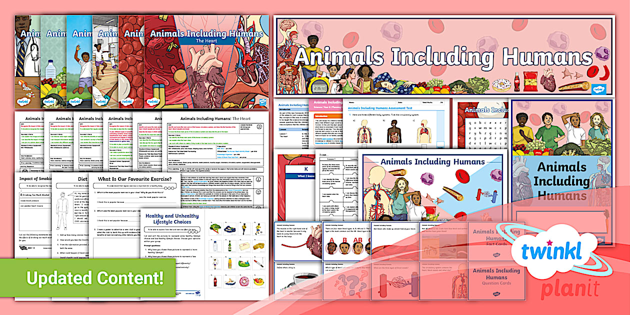 Science: Animals Including Humans Year 6 Unit Pack - Twinkl