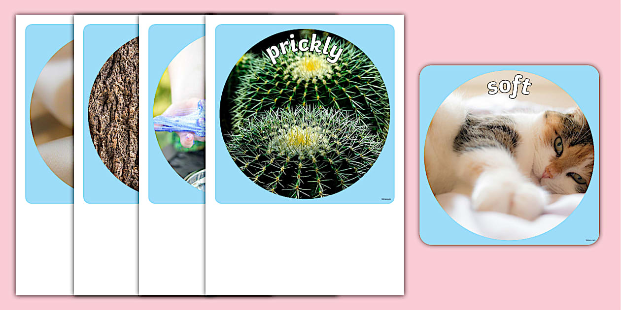 Sensory Words (Touch) Display Photo Cut-Outs (teacher made)