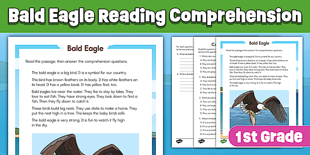 First Grade Bald Eagle Reading Comprehension