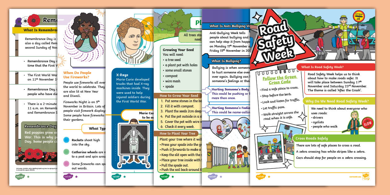 KS1 November Differentiated Reading Comprehension Activity Pack