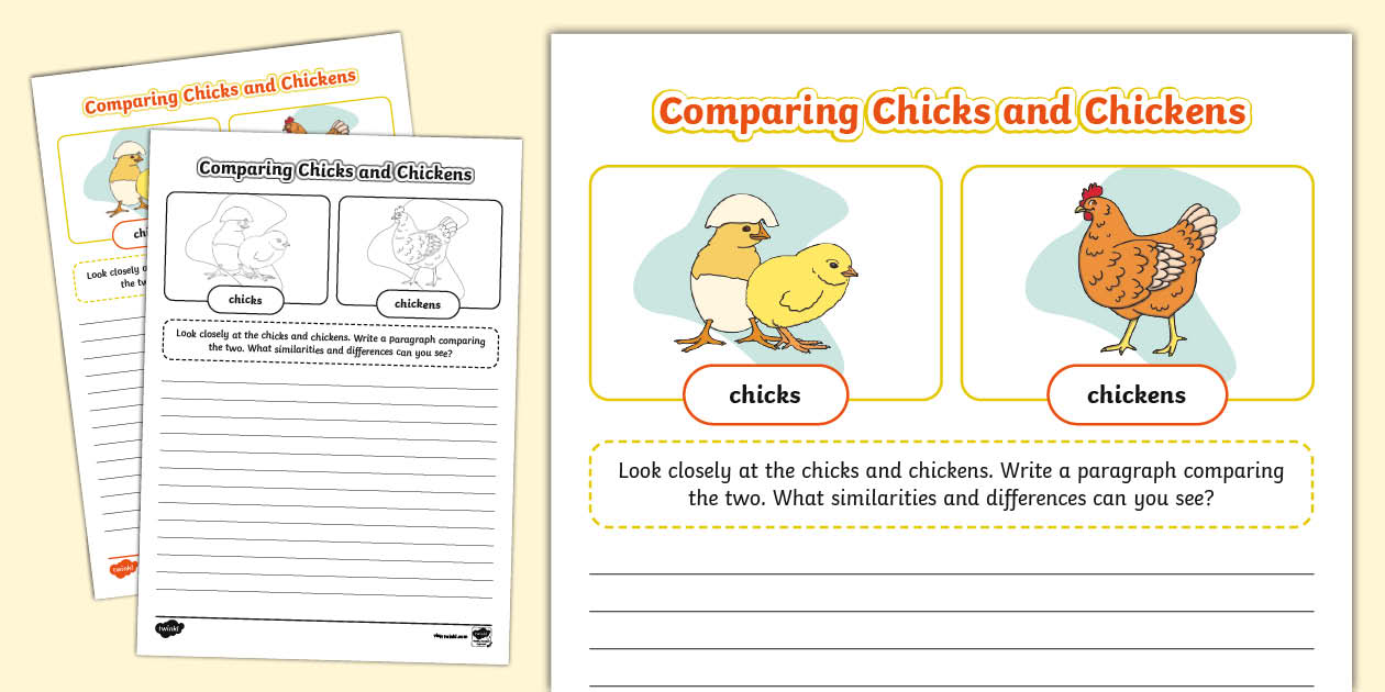 Comparing Chickens and Chicks Worksheet (teacher made)