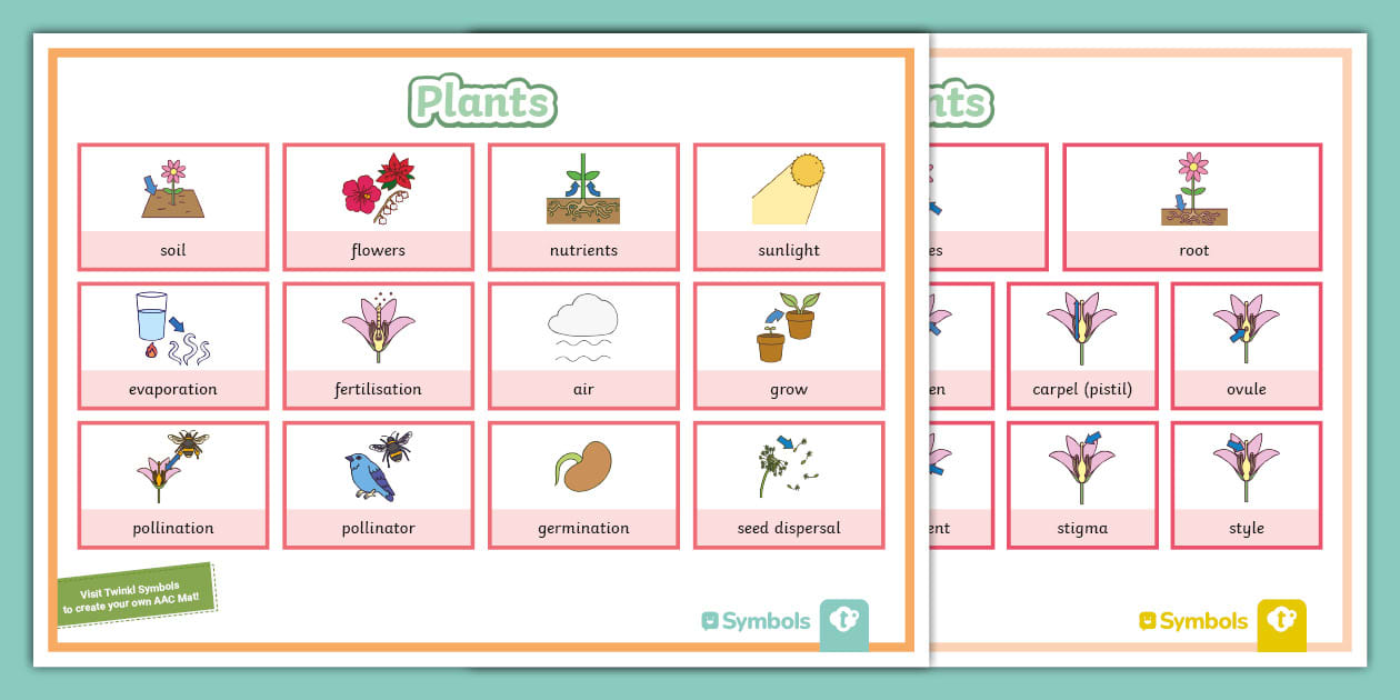 Twinkl Symbols: PlanIt Science: Plants: Year 3: AAC Mat