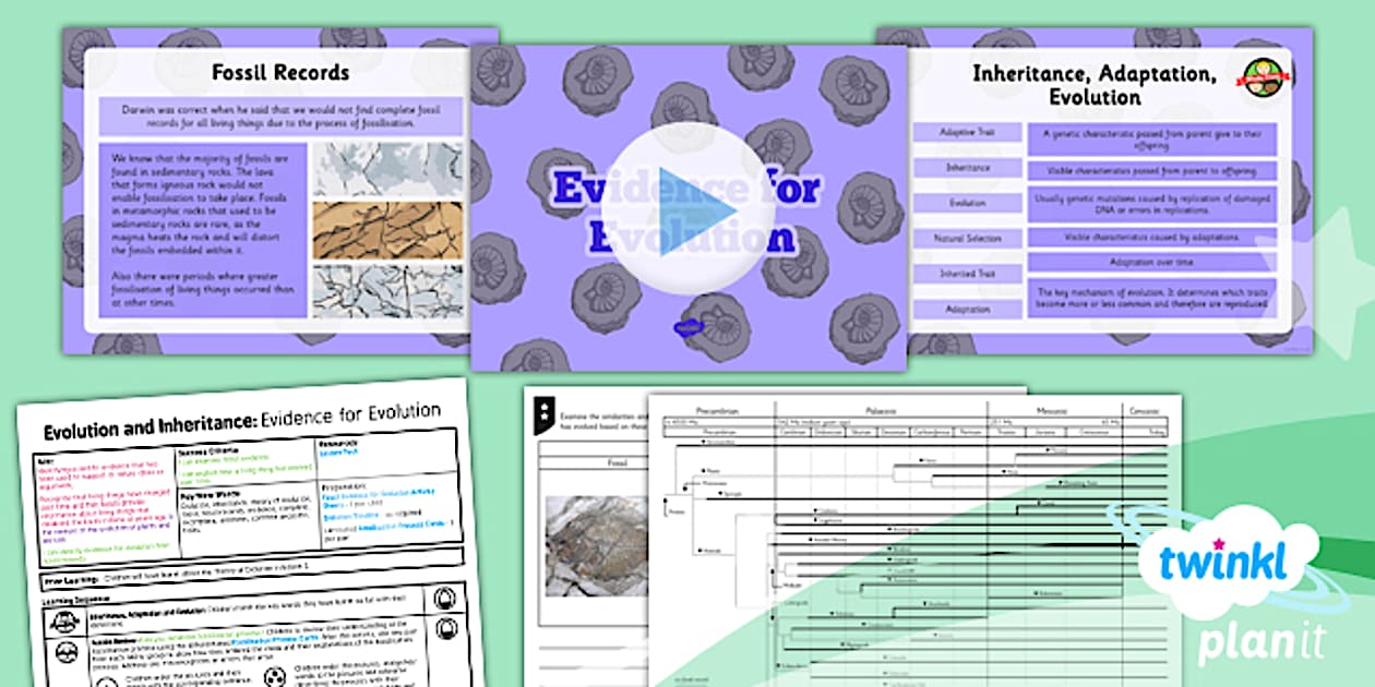 Science: Evolution and Inheritance: Evidence for Evolution Year 6 ...