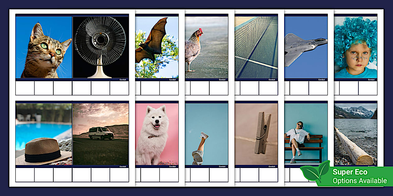 Reinforcing Sounds: CVC Phoneme Frames Activity - Twinkl