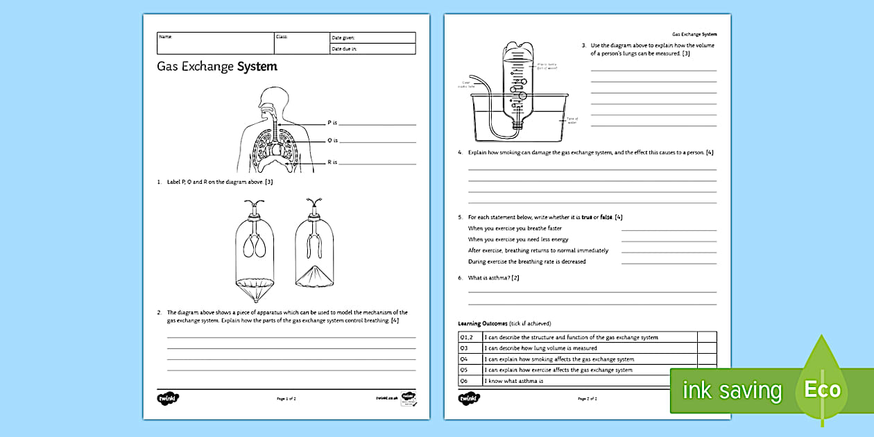 Editable KS3 Gas Exchange Homework Worksheet - Twinkl