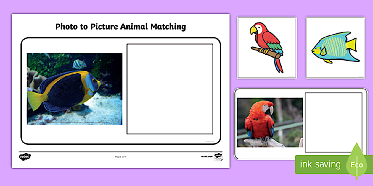 Editable Workstation Pack: Photo to Picture Animal Matching Activity Pack
