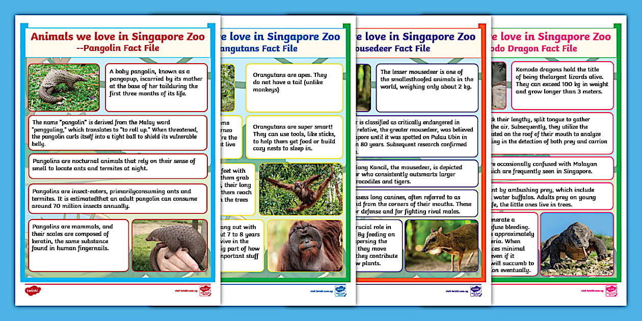 Animals We Love At Singapore Zoo Fact File Pack - Twinkl