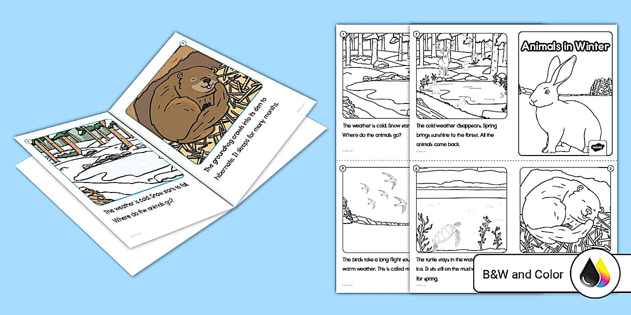 Animals in Winter PDF Emergent Reader | Twinkl USA - Twinkl