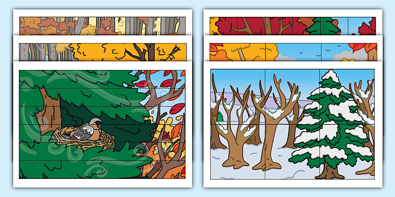 Legenda bradului – Puzzle (creat de profesori) - Twinkl