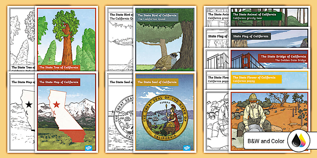 California State Symbols Posters (teacher made) - Twinkl