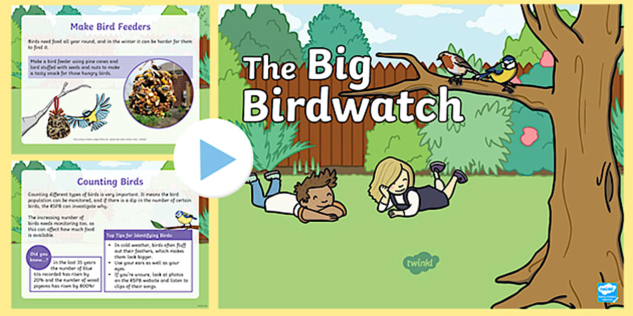 The Big Birdwatch PowerPoint - Scotland Birds List - Twinkl