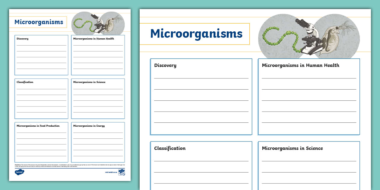 Microorganisms Fact File Template (teacher made) - Twinkl