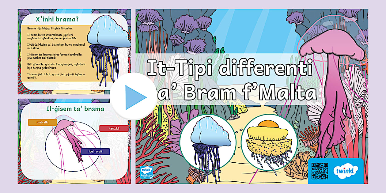 Preżentazzjoni: It-Tipi Differenti ta' Bram f'Malta