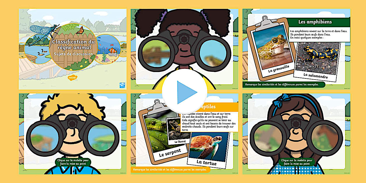 Espèces animales - PowerPoint - Twinkl